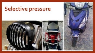 Impression materials 2.pptx