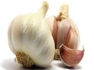 Impressive health benefits of garlic A series of Presentation By Mr ...