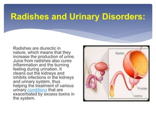 Impressive health benefits of radish A series of Presentation By Mr ...