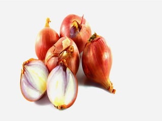 Impressive health benefits of shallot A series of Presentation By Mr ...