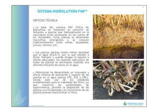 MACROFITAS | PDF