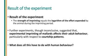 Imprinting in ethology and psychology | PPTX