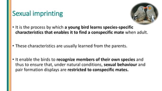 Imprinting in ethology and psychology | PPTX
