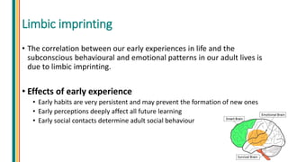 Imprinting in ethology and psychology | PPTX