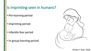 Imprinting in ethology and psychology | PPTX