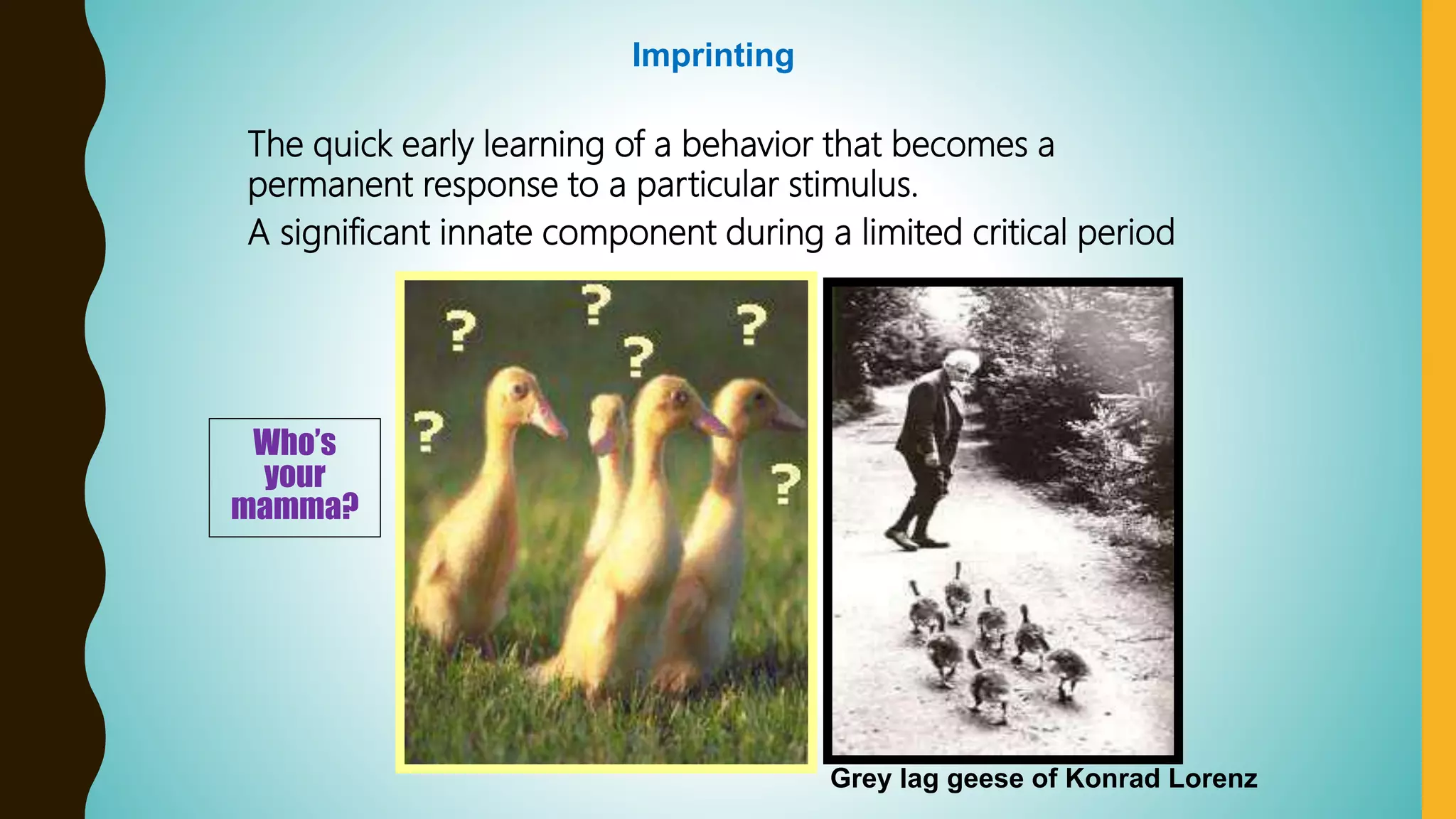 Imprinting | PPTX