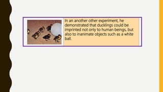 Imprinting | PPTX