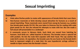imprinting n psychology and ethology, imprinting is any kind of phase ...