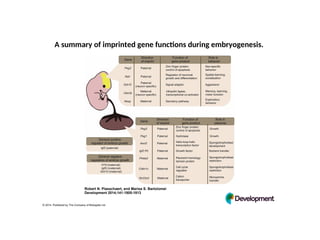 genomic Imprinting definition and mechanism.ppt