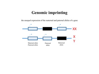 genomic Imprinting definition and mechanism.ppt