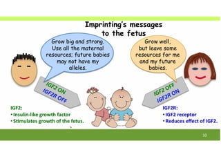 genomic Imprinting definition and mechanism.ppt