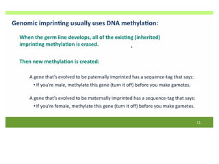 genomic Imprinting definition and mechanism.ppt