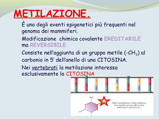 Imprinting genomico10