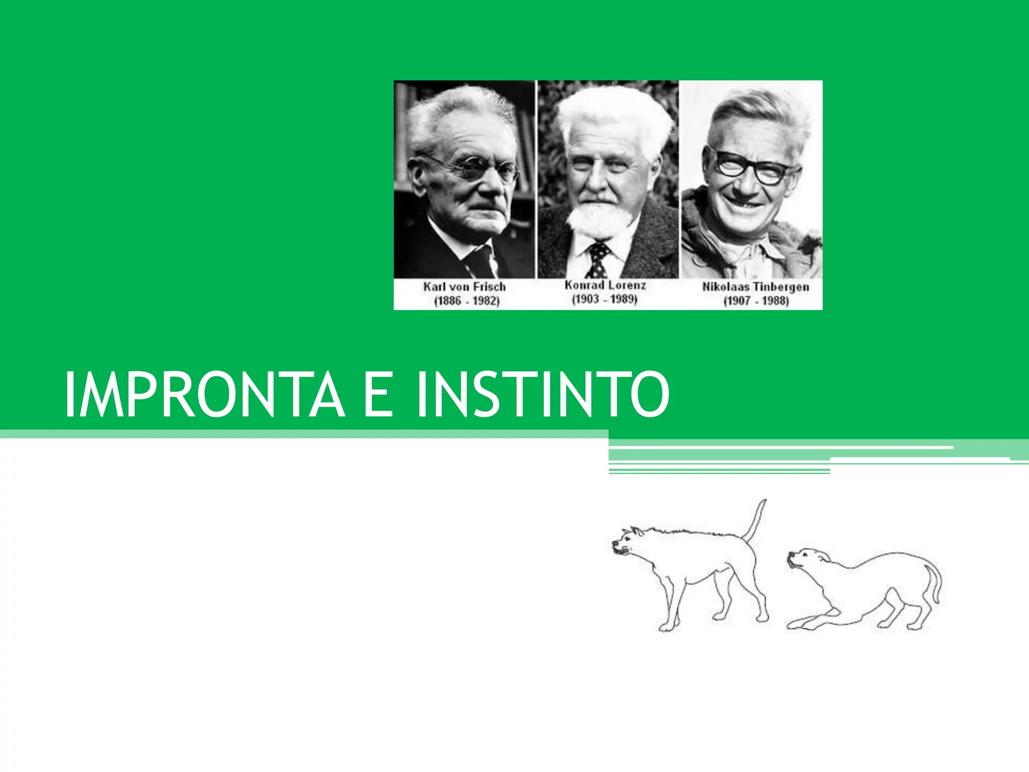 IMPRONTA E INSTINTO.pptx