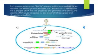 Crispr/Cas 9 | PPTX