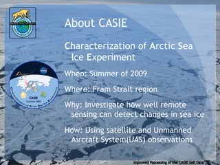 Improved Processing of the CASIE SAR Data.pdf | Science
