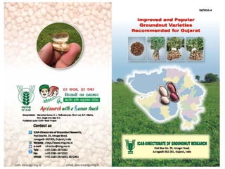Improved and Popular Groundnut Varieties for Gujarat | PPT