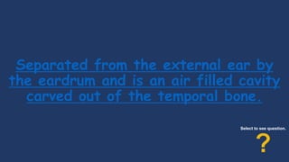 Improved ear jeopardy | PPT