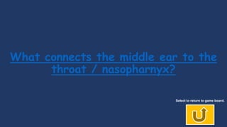 Improved ear jeopardy | PPT