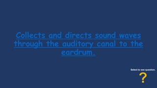 Improved ear jeopardy | PPT