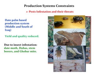 Improved livelihoods of small farmers in Iraq through IPM and OF | PPT ...