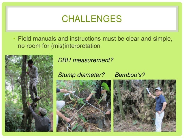 Improved National Forest Inventory Map sampling design