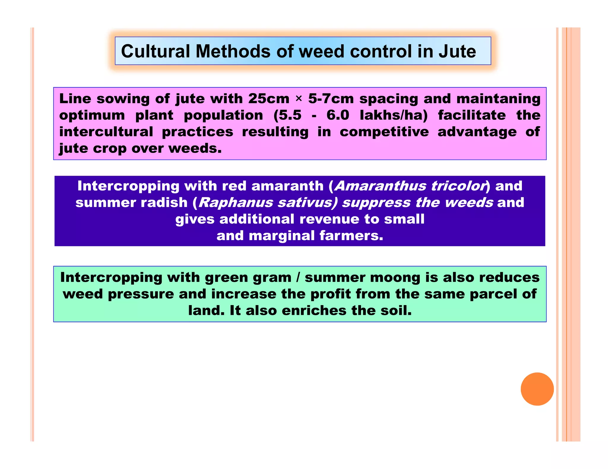 Improved technologies for jute cultivation in india | PDF