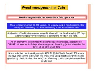 Improved technologies for jute cultivation in india | PDF