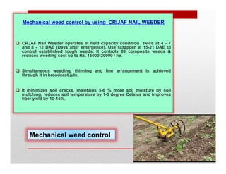 Improved technologies for jute cultivation in india | PDF