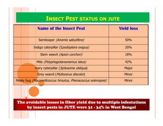 Improved technologies for jute cultivation in india | PDF