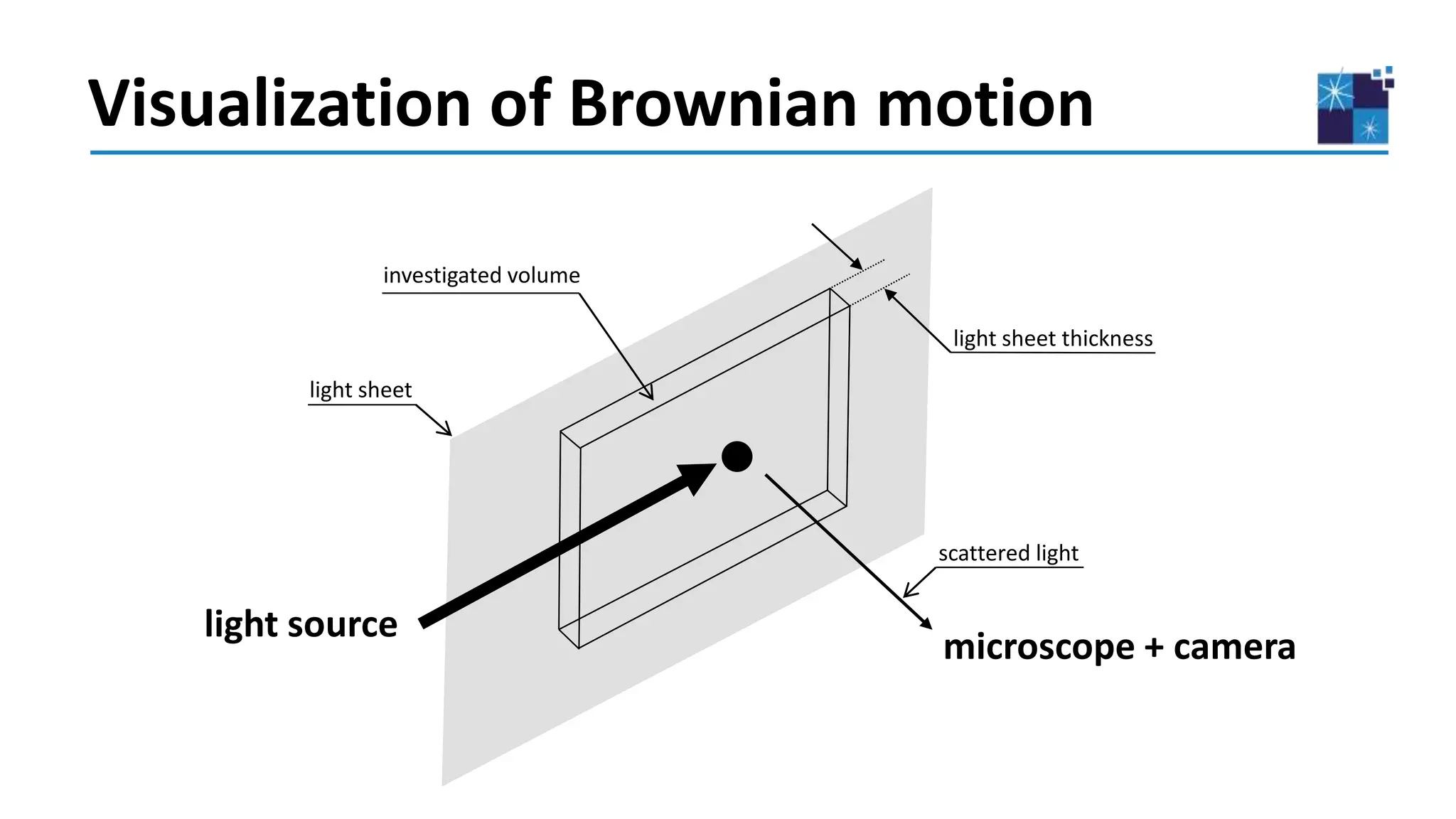 Improved Visualization, Counting and Sizing of Polydisperse ...