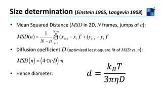 Improved Visualization, Counting and Sizing of Polydisperse ...