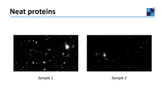 Improved Visualization, Counting and Sizing of Polydisperse ...