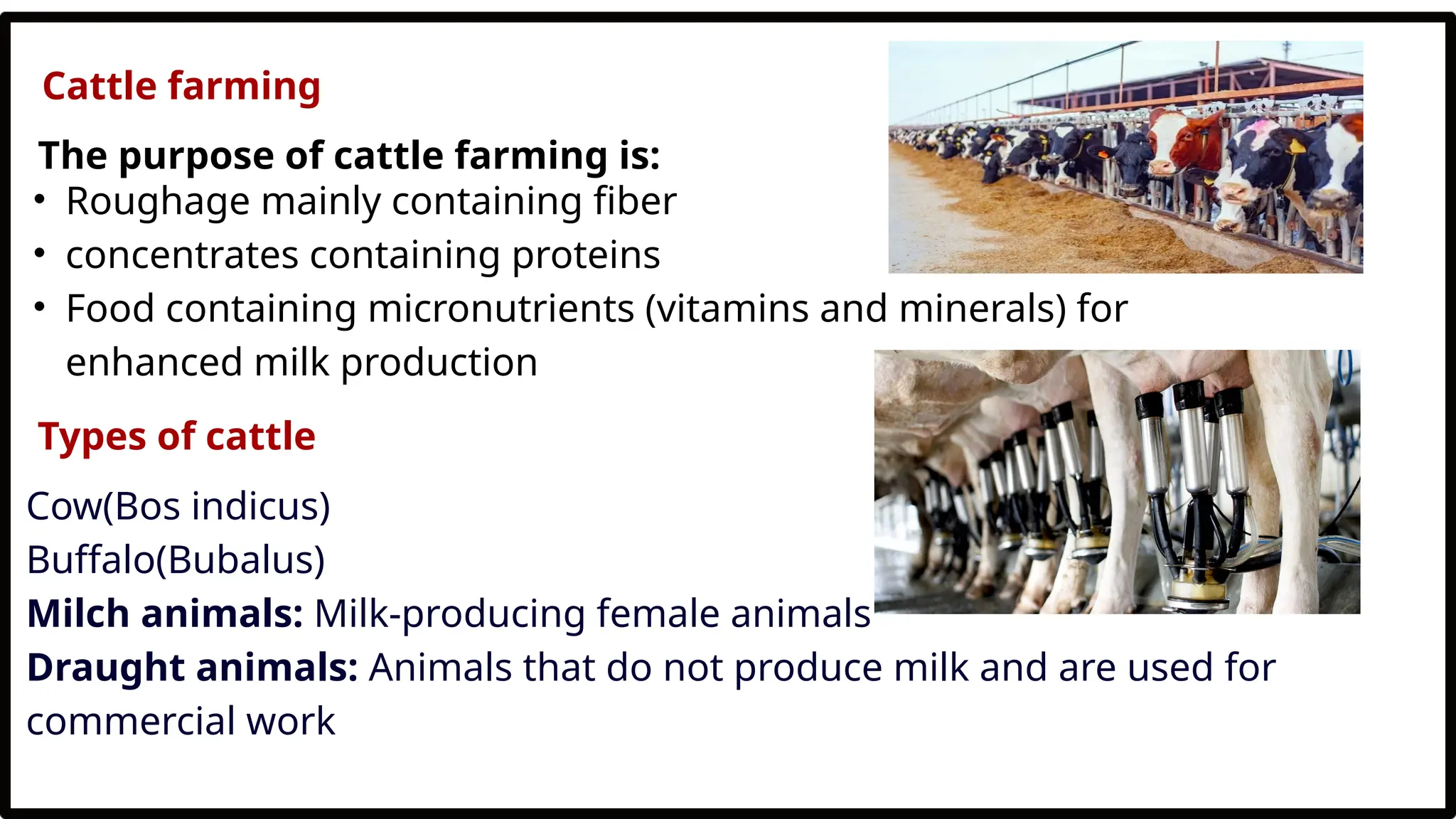 IMPROVEMENT IN FOOD AND RESOURCES Class 9th NCERT .pptx