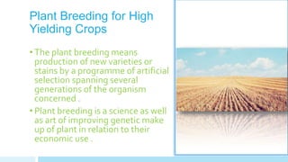 Improvement in food crops | PPTX