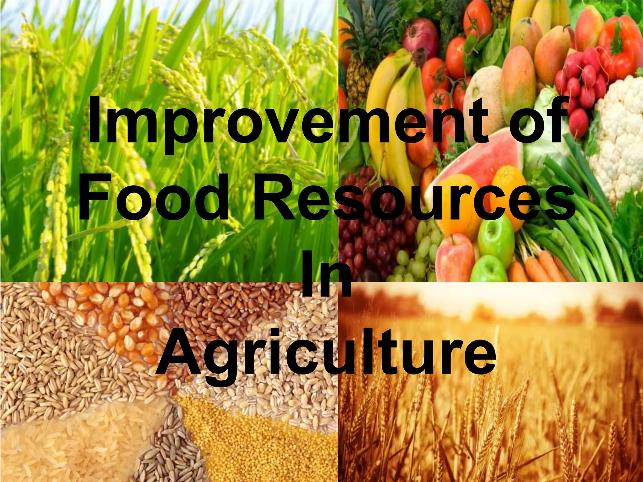Improvement in food resources. | PPTX