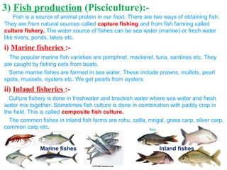 Improvement in food resources | PPT