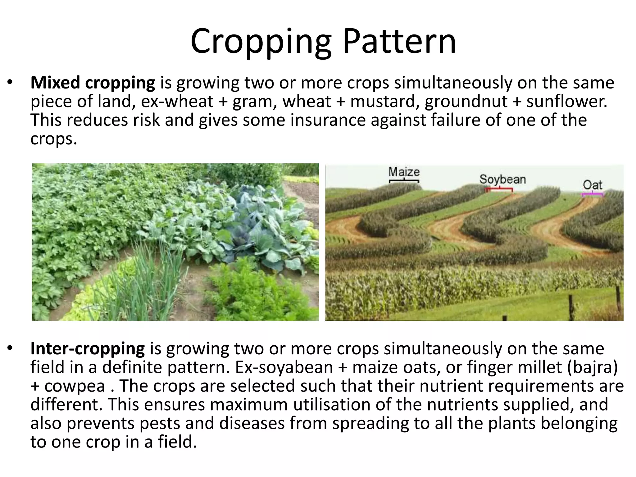 Improvement in Food Resources | PPTX