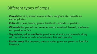 IMPROVEMENT IN FOOD RESOURCES.pdfMOMMMMM | PDF