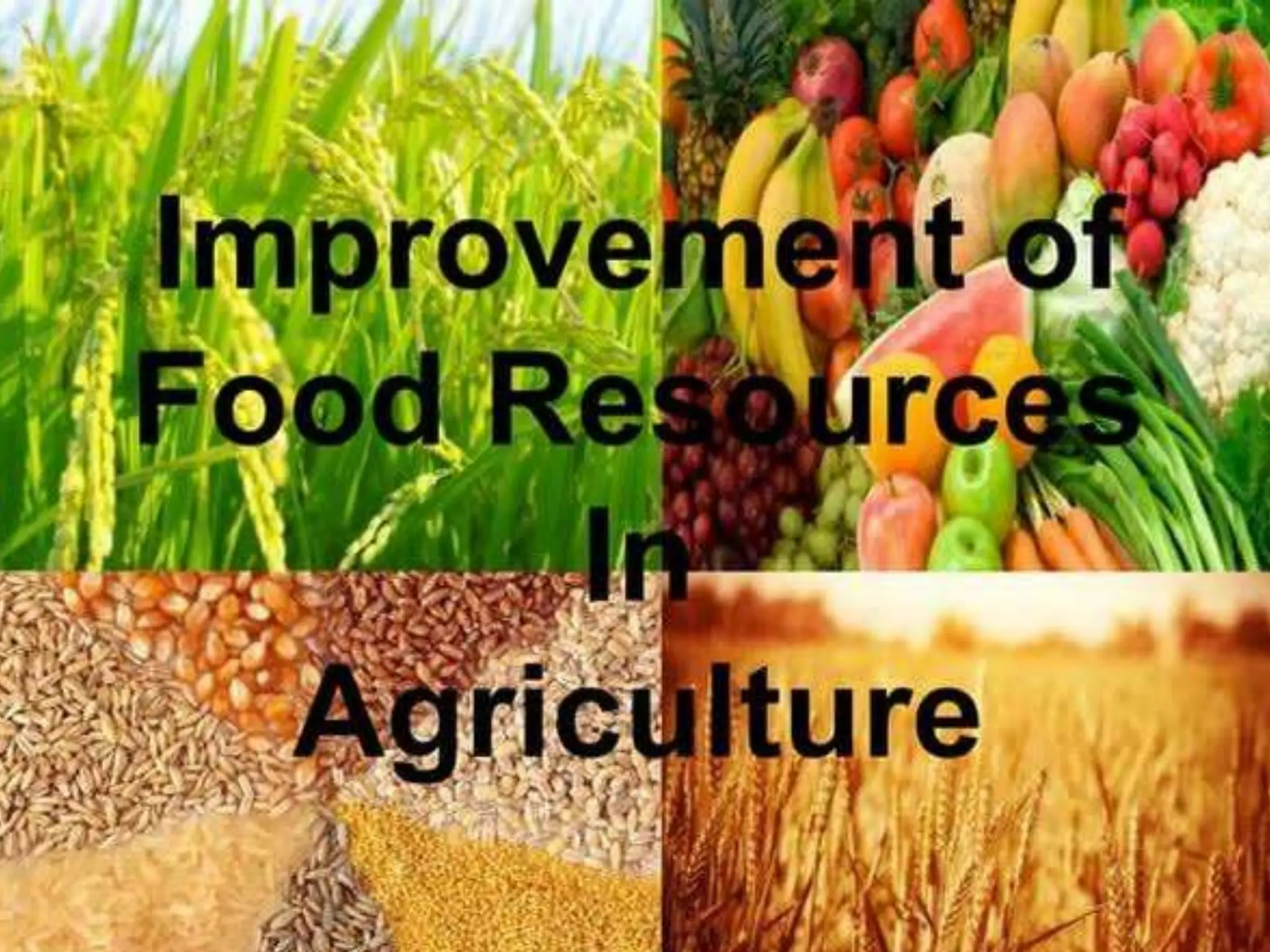 Improvement in food resources class 9.ppt