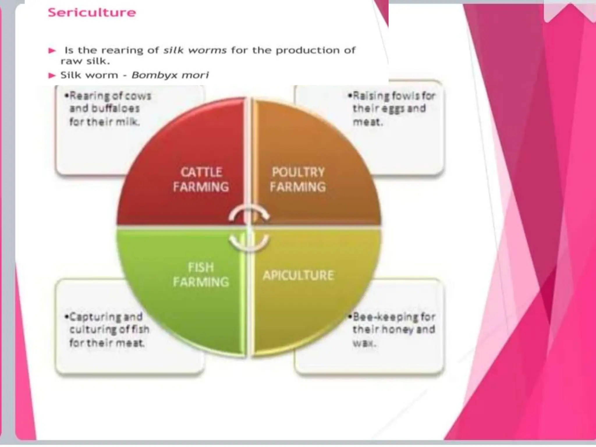 Improvement in food resources class 9.ppt