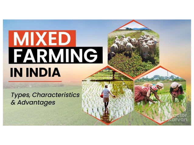 Improvement in food resources class 9.ppt