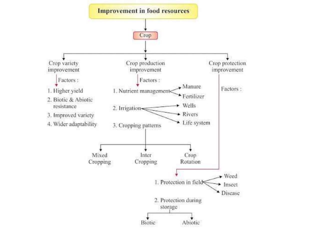 Improvement in food resources class 9.ppt