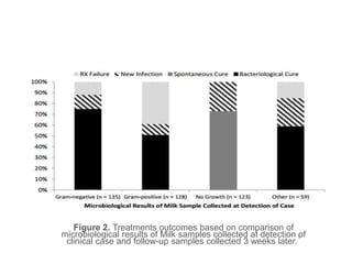 Improving Mastitis Treatments by Targeted Antimicrobial Therapy.pptx
