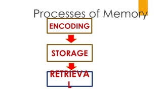 Improving memory | PPT