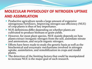 IMPROVING NITROGEN USE EFFICIENCY IN PLANTS hj.pptx
