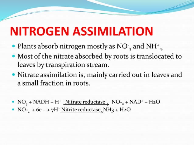 IMPROVING NITROGEN USE EFFICIENCY IN PLANTS hj.pptx