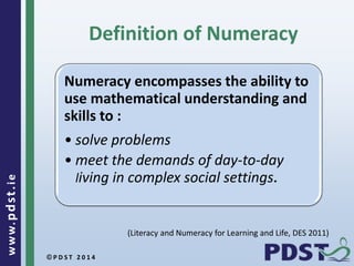 Improving Numeracy through SSE (Summary)_0.pptx