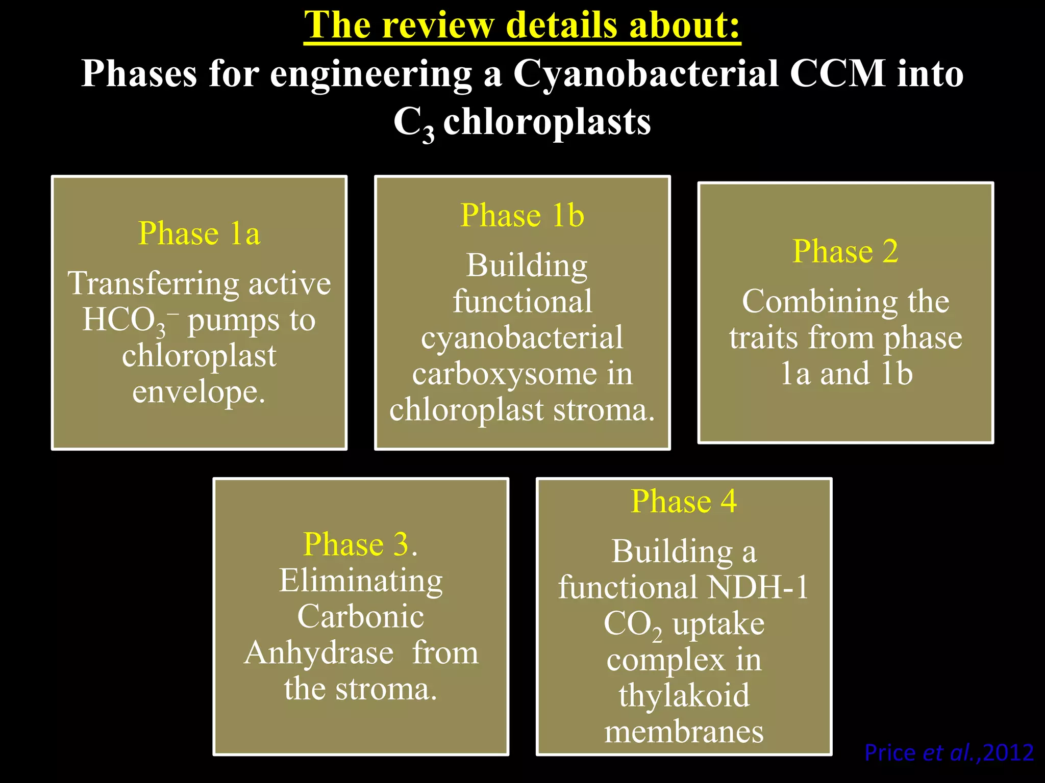 Improving photosynthesis by chloroplast engineering | PPTX