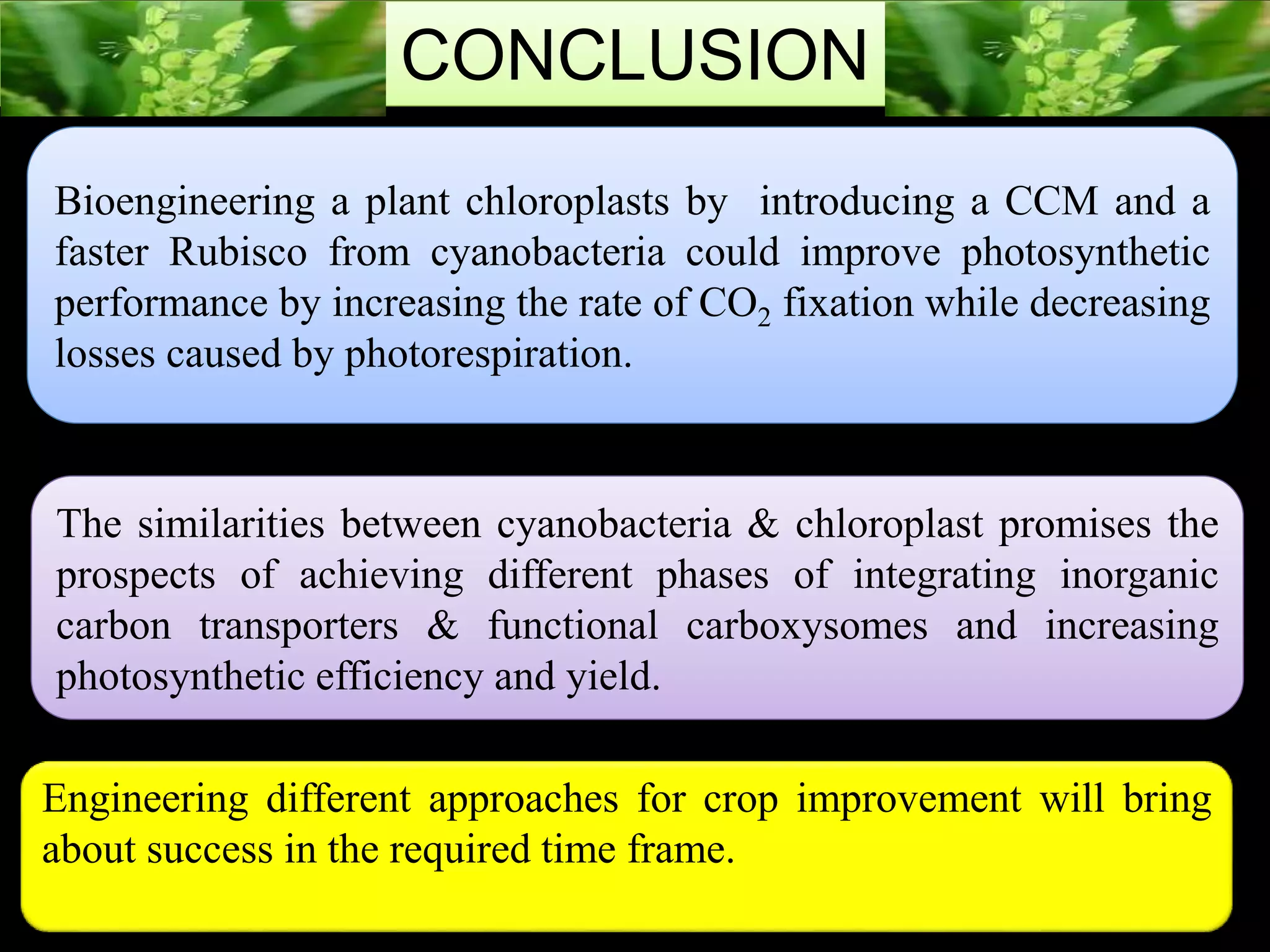 Improving photosynthesis by chloroplast engineering | PPTX